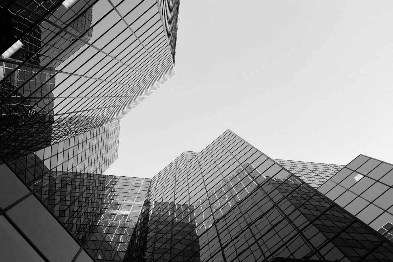 Construction Management Software
